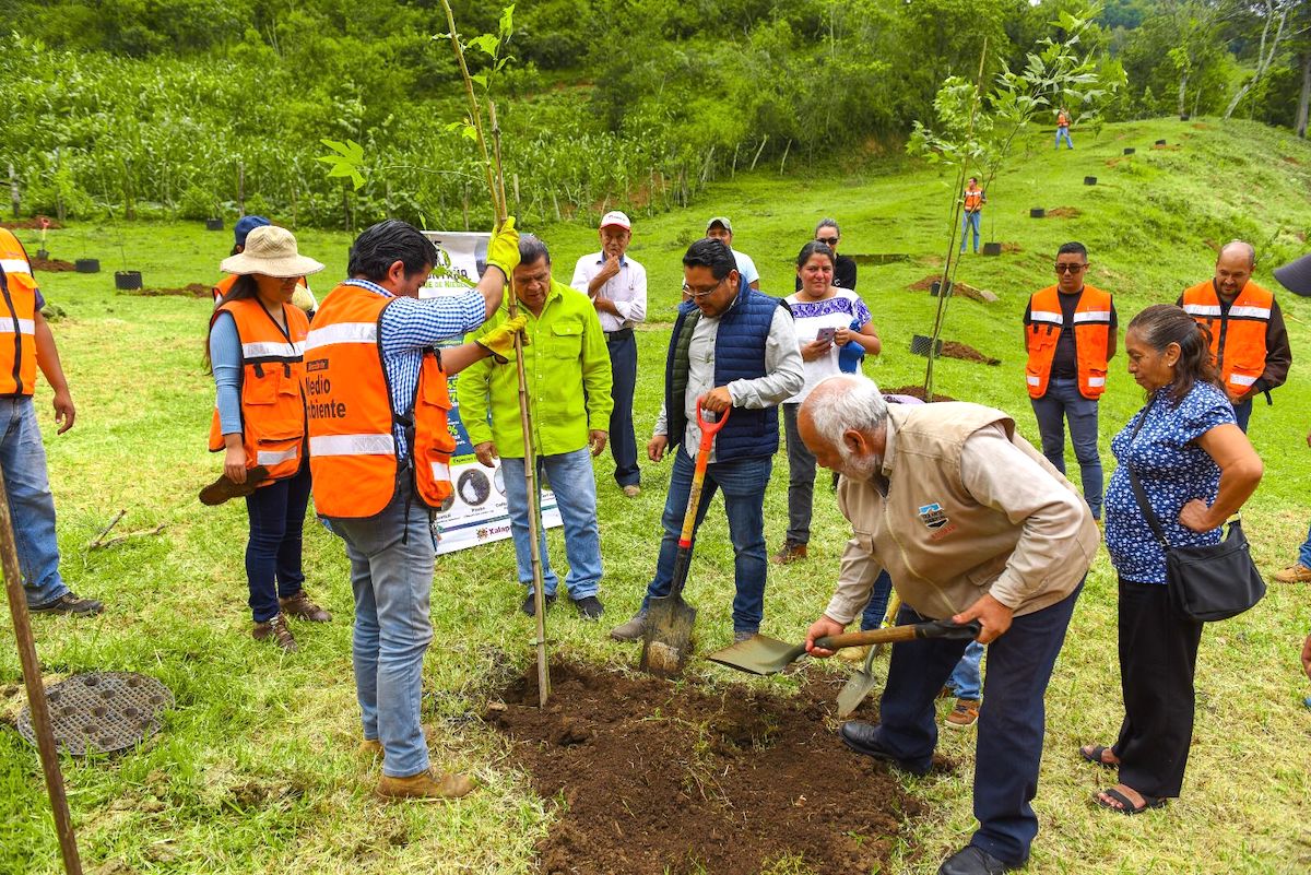 Inicia Ayuntamiento programa de reforestación y arborización
